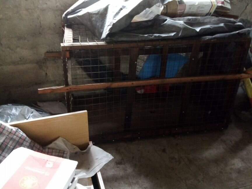 Клетка переноска для свиней