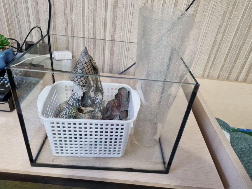 Аквариум на 10 литров