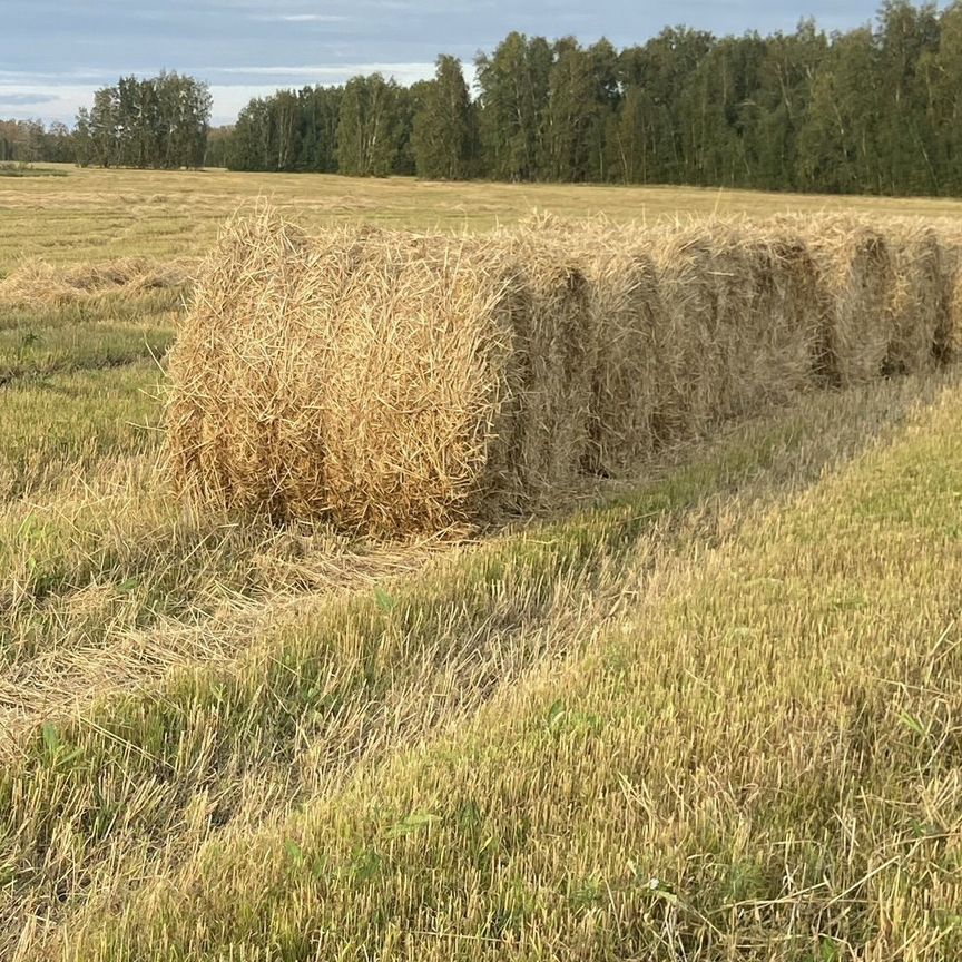 Солома в рулонах