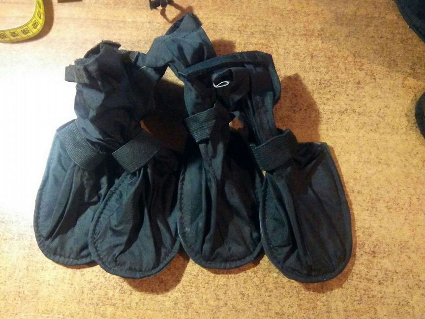 Сапоги для собак