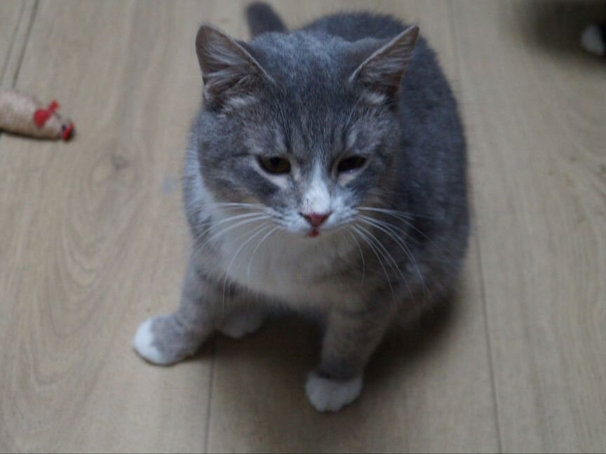 Молоденький мальчик