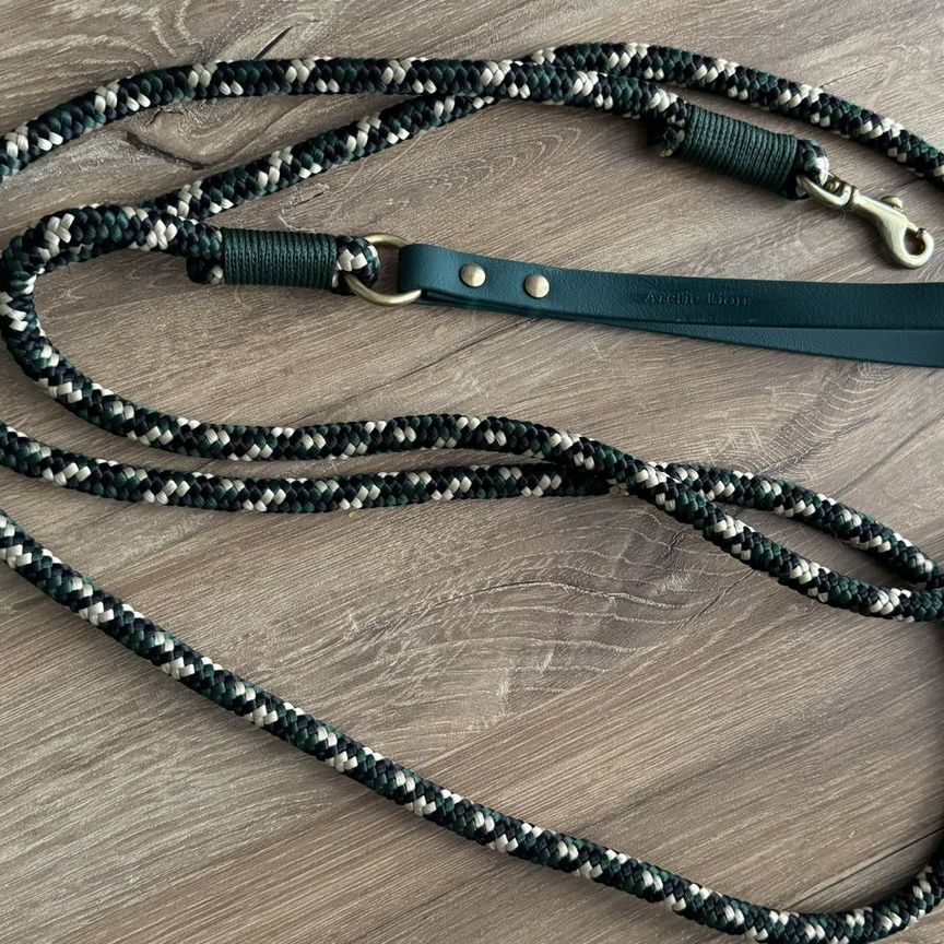 Ошейник и поводок для собак