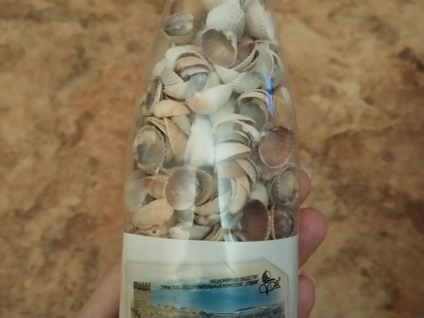 Морские ракушки раковины