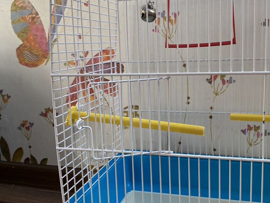 Клетка для попугая