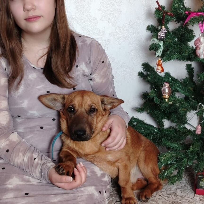 Маленький трогательный Батончик