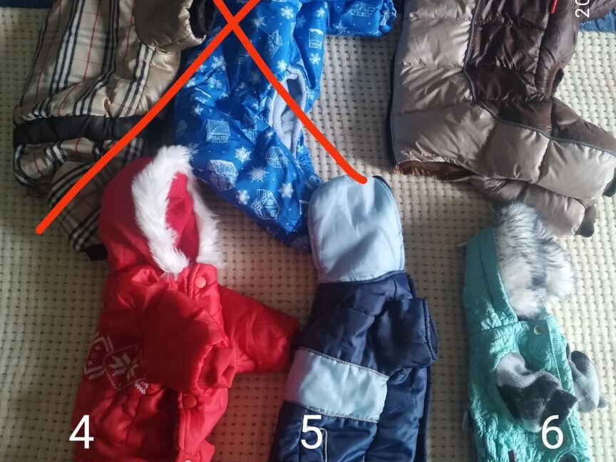 Комбинезоны для собаки