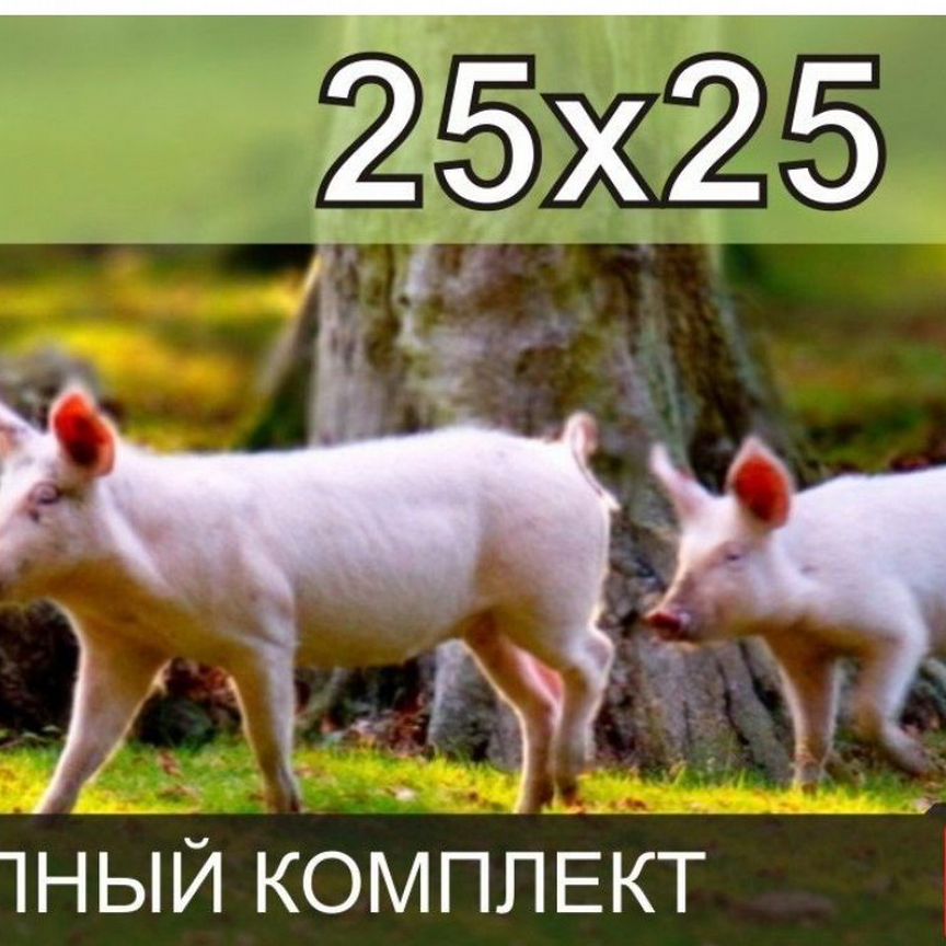 Электропастух для свиней