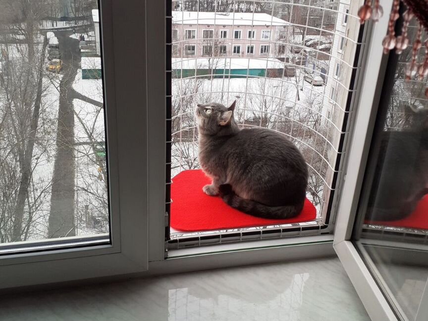 Балкон для кошек