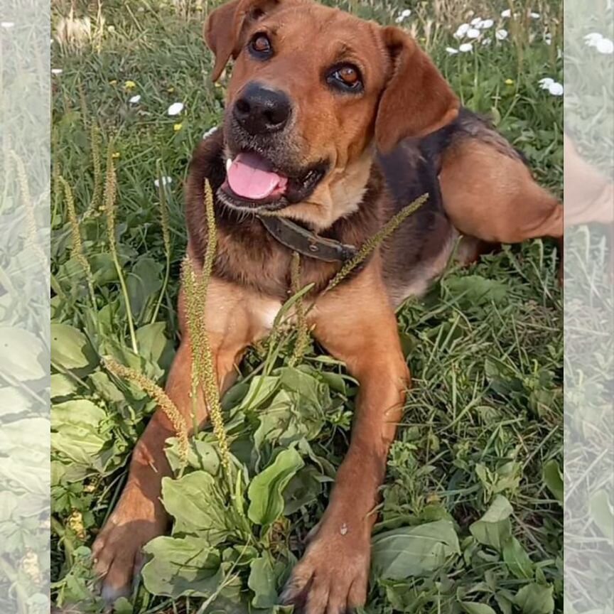 Возьми меня с собой. Есения