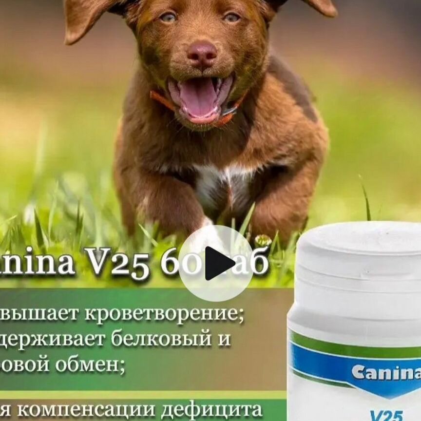 Витамины для животных