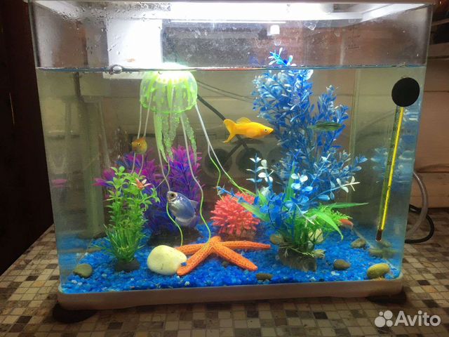 Аквариум