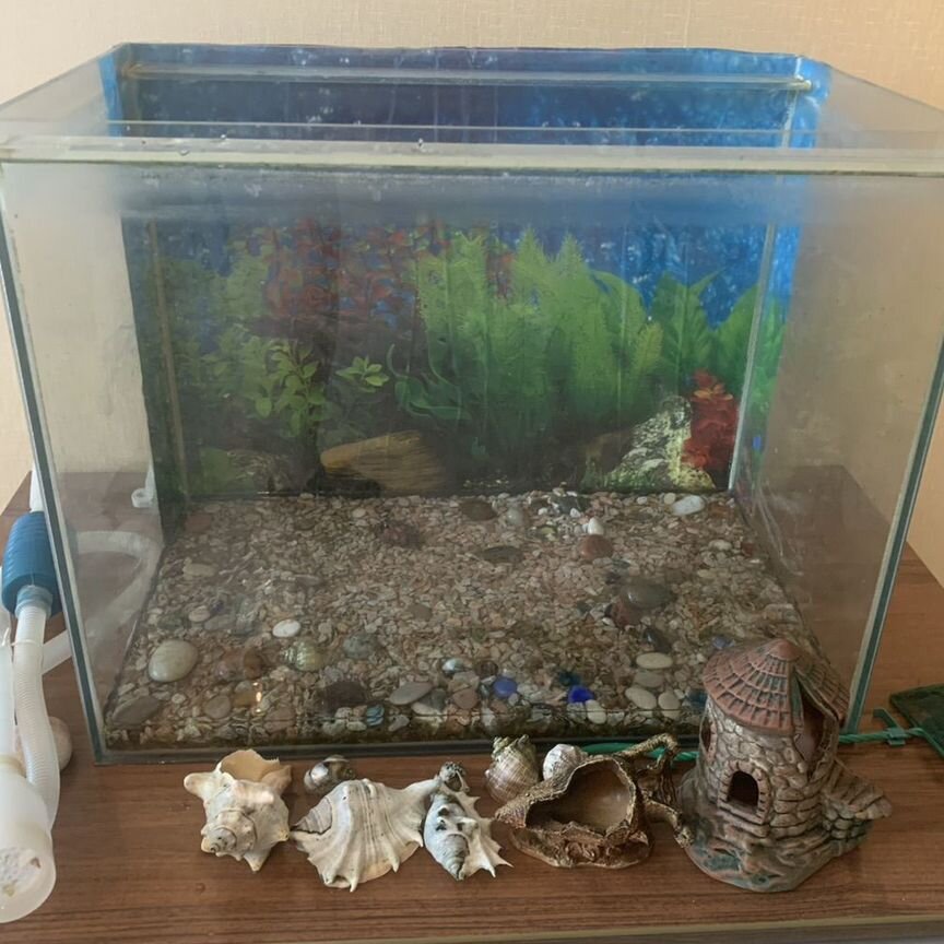 Аквариум, компрессор,термометр, фильтр