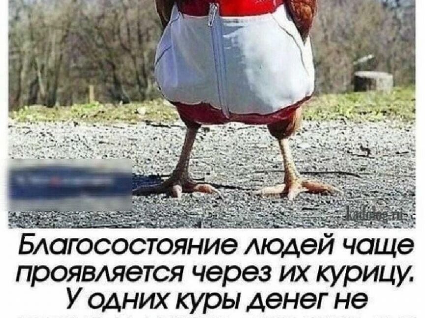 Адлерская серебристая