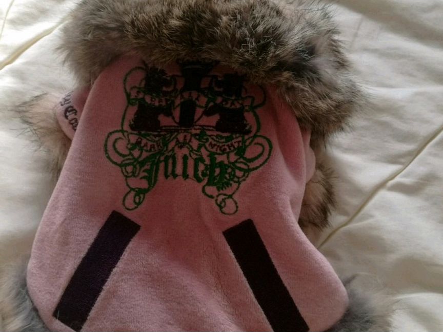 Пальто для собачки