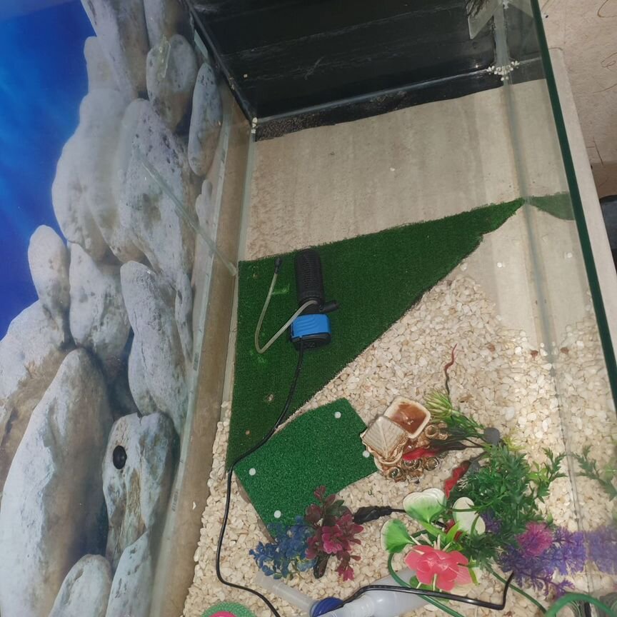 Аквариум 250 литров