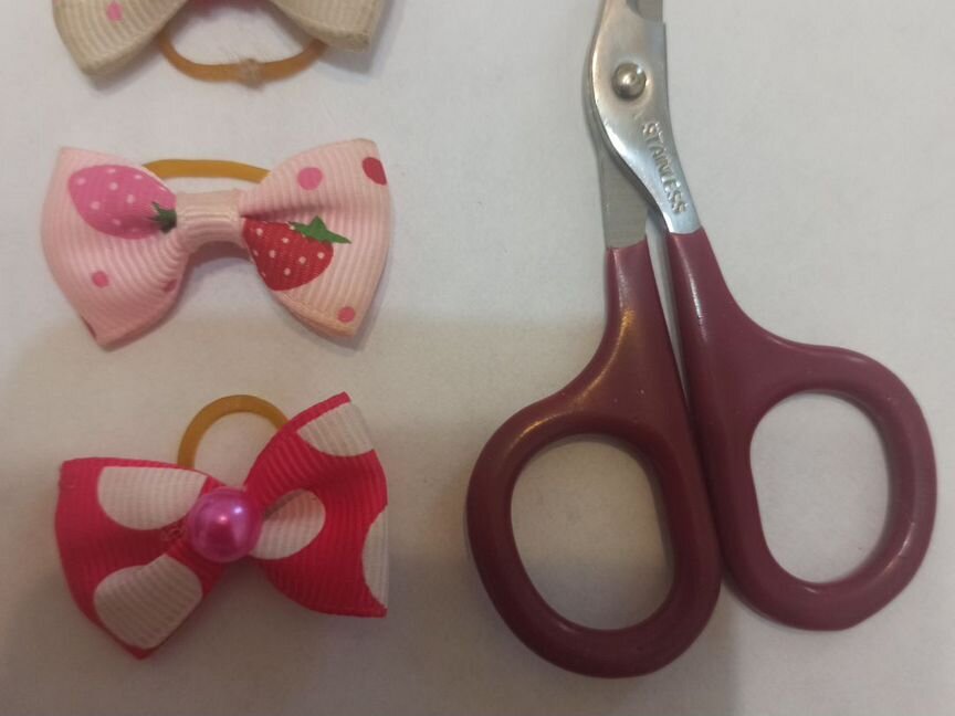 Вещи для животных