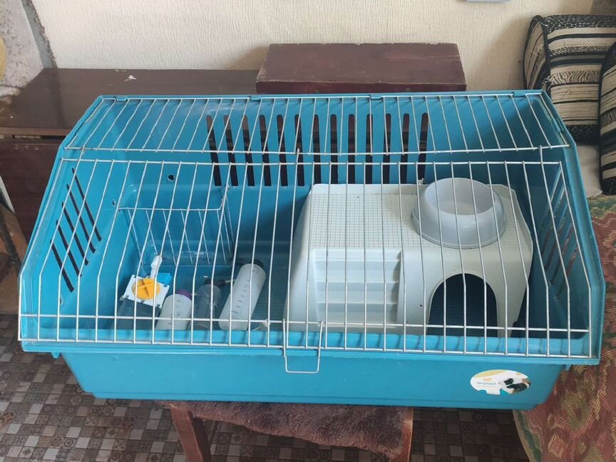 Клетка