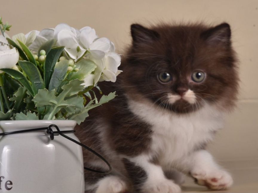 Брутальный мальчик