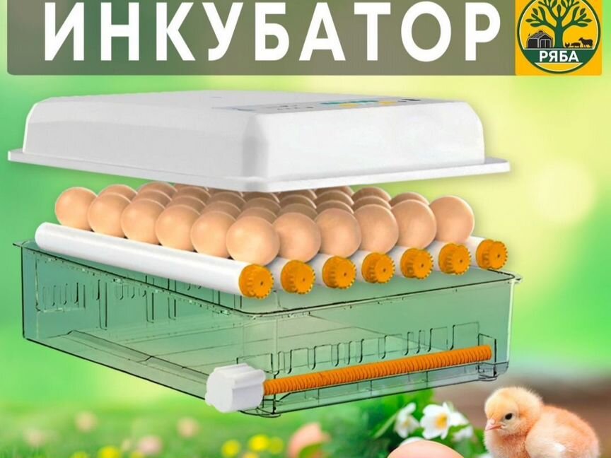 Инкубатор ряба-36