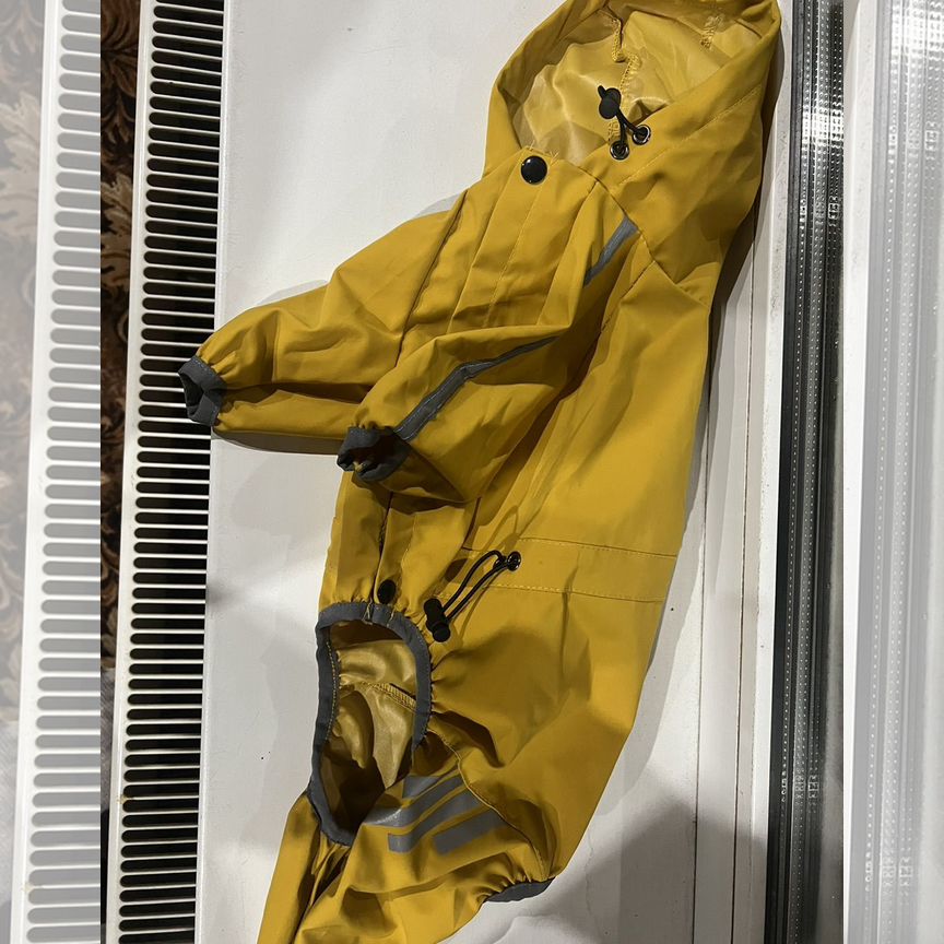 Одежда для маленьких собак