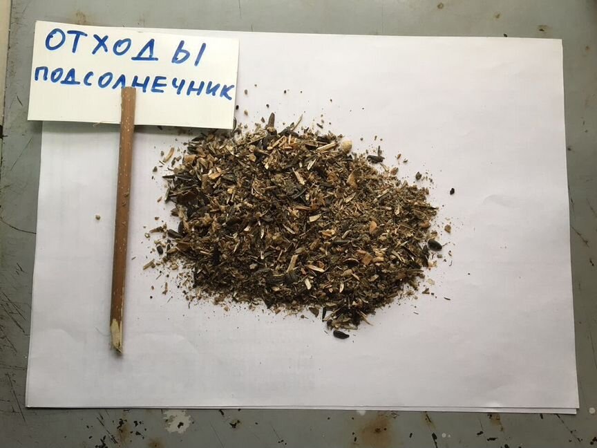 Отходы подсолнечник Семечка
