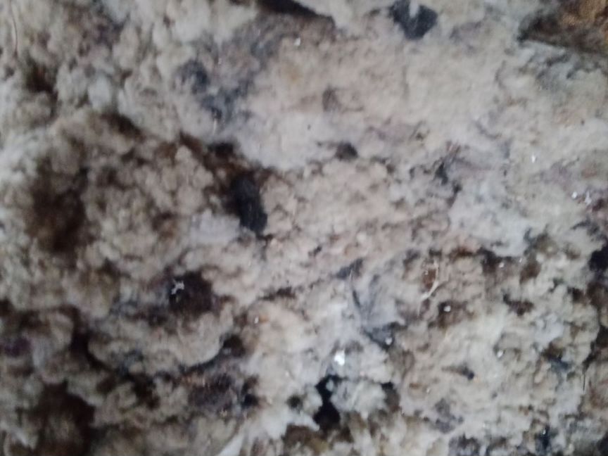 Шерсть овечья