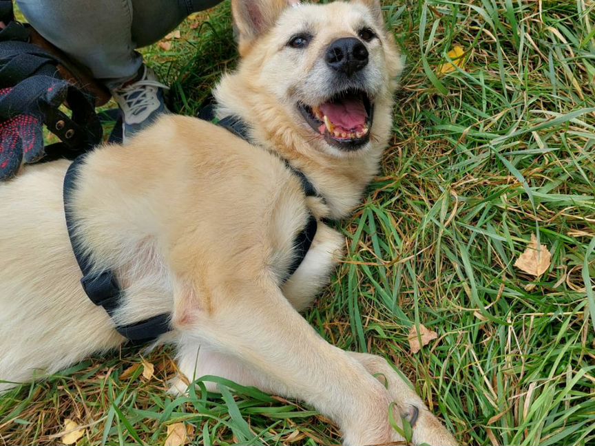 У Балты осталось совсем мало времени