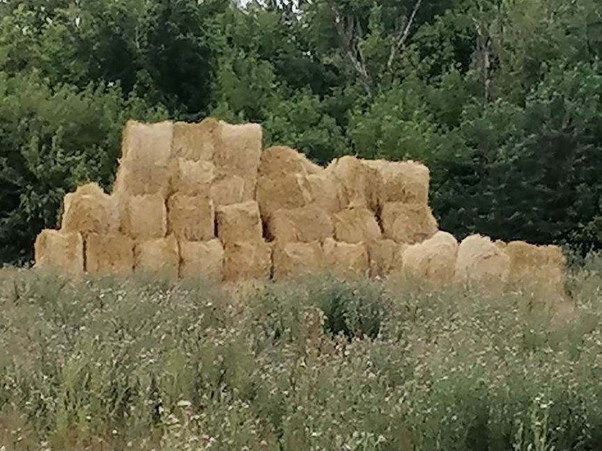 Продаю солому