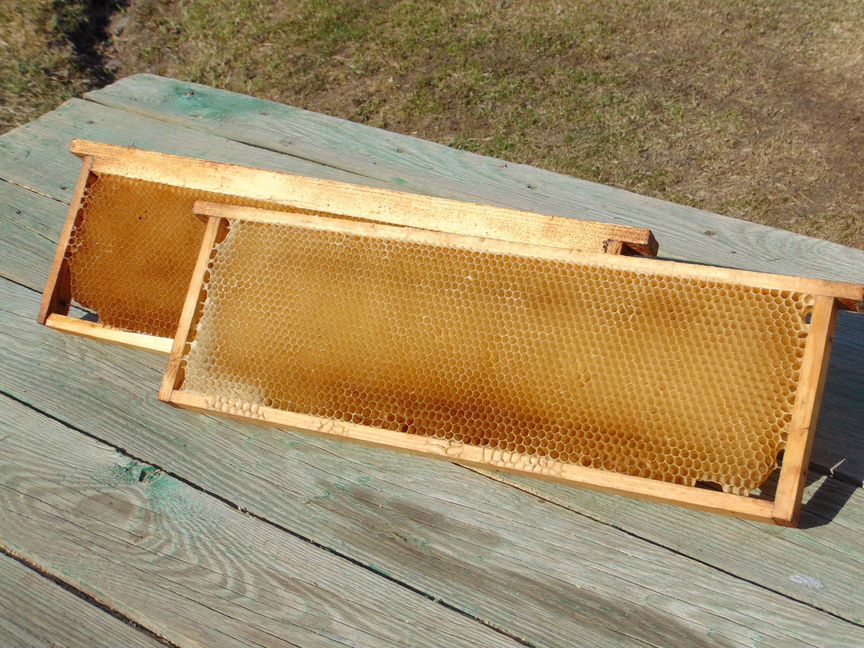 Продам магазинную сушь для ульев