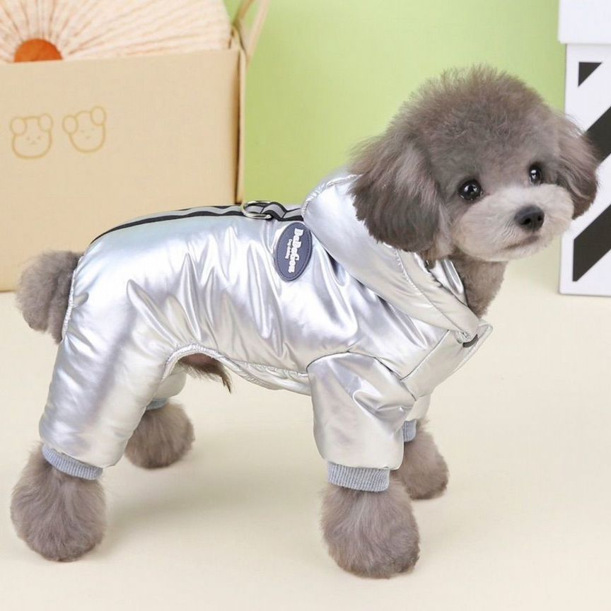 Одежда для собак мелких пород зима