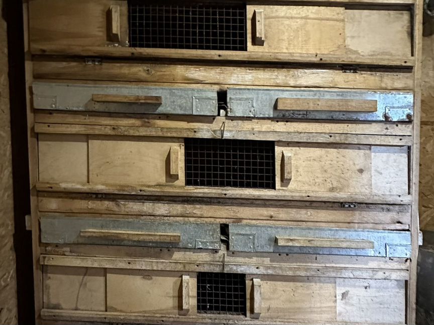 Брудер для птиц бу