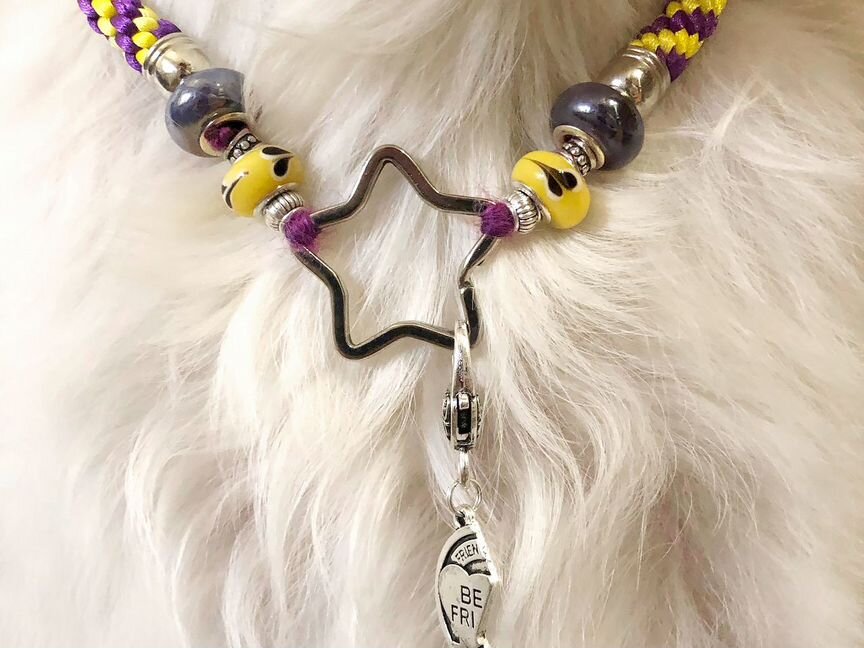 Шнурок для адресника ручной работы для собак