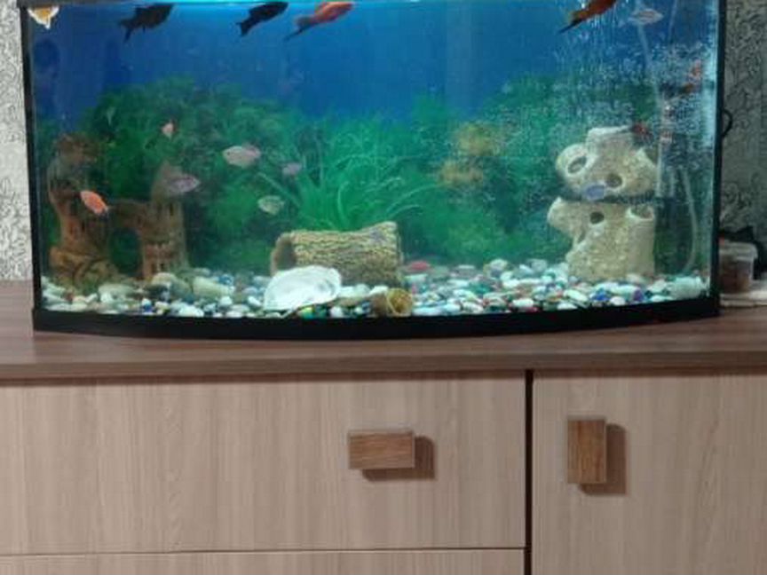 Аквариум