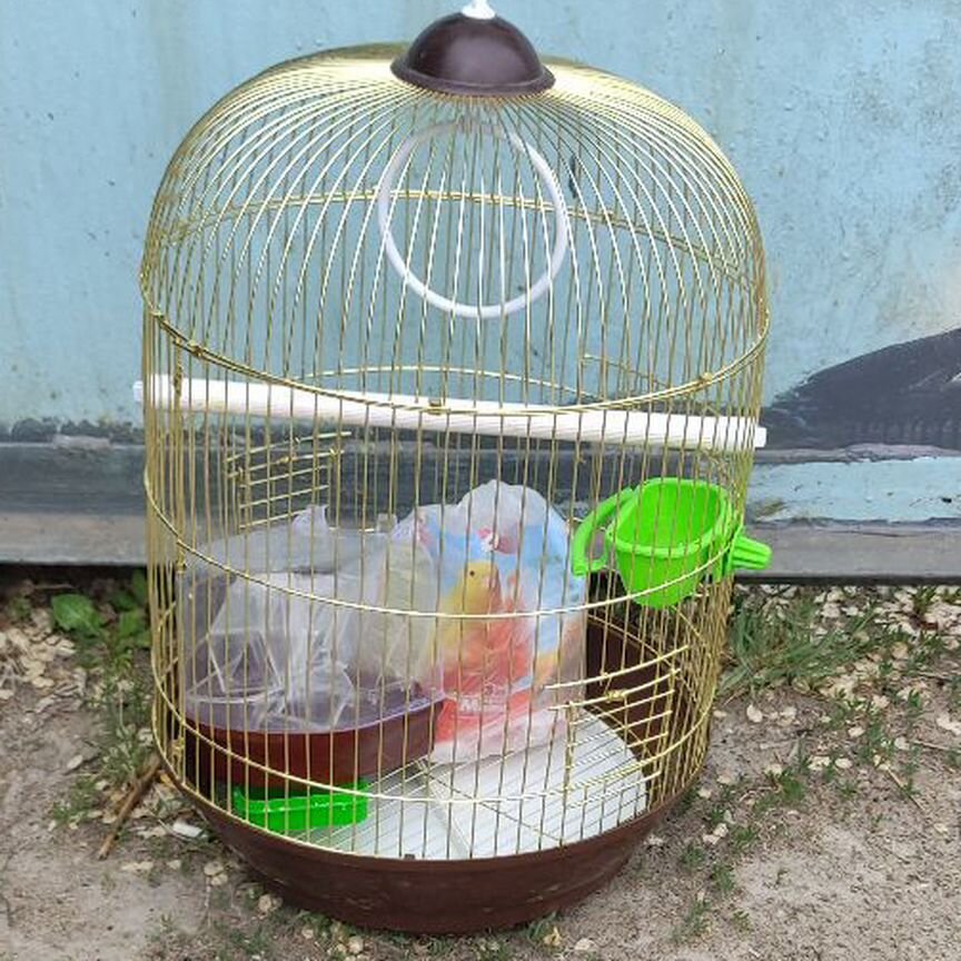 Клетка для птиц