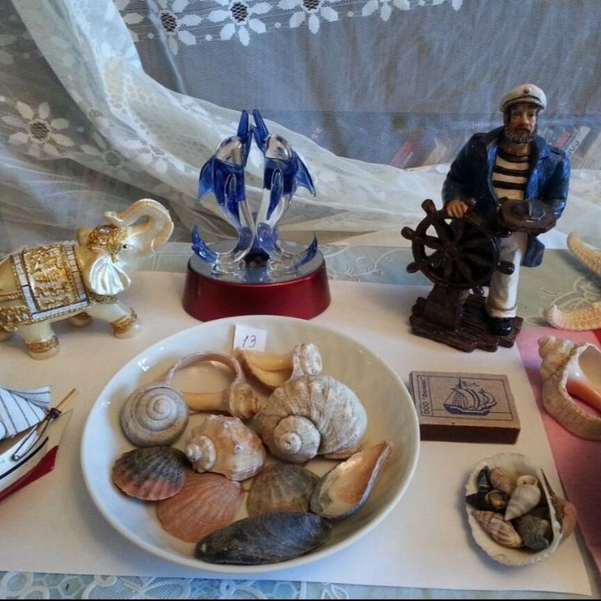 Ракушка рапан мидия морские натуральные