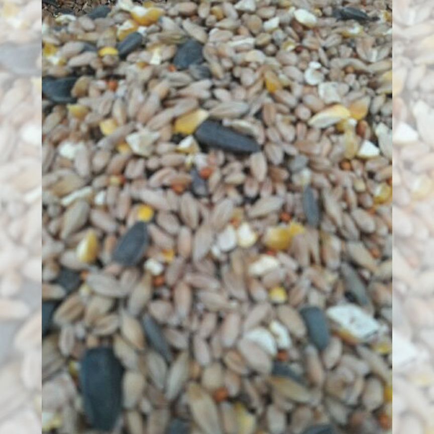 К-3 (зерносмесь) для кур, гусей, индюшки, утки