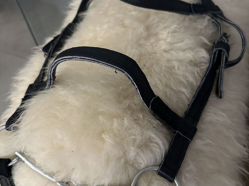 Уздечка для лошади