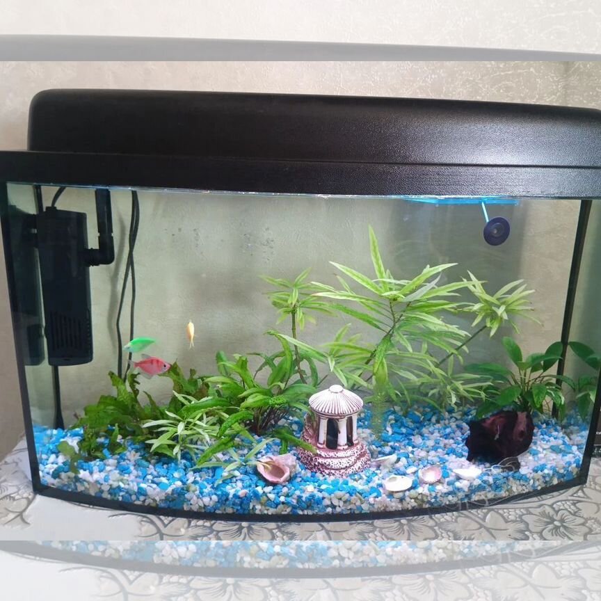 Аквариум 55 литров