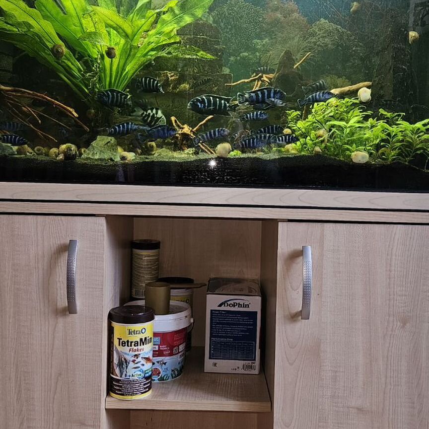 Аквариум с тумбой 160 бу Ленинский район,Дрожжино