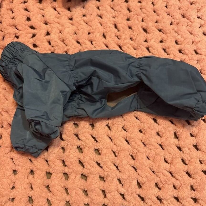 Одежда для маленьких собак