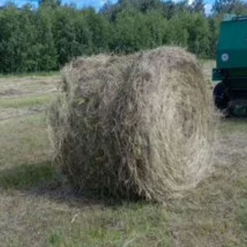 Сено