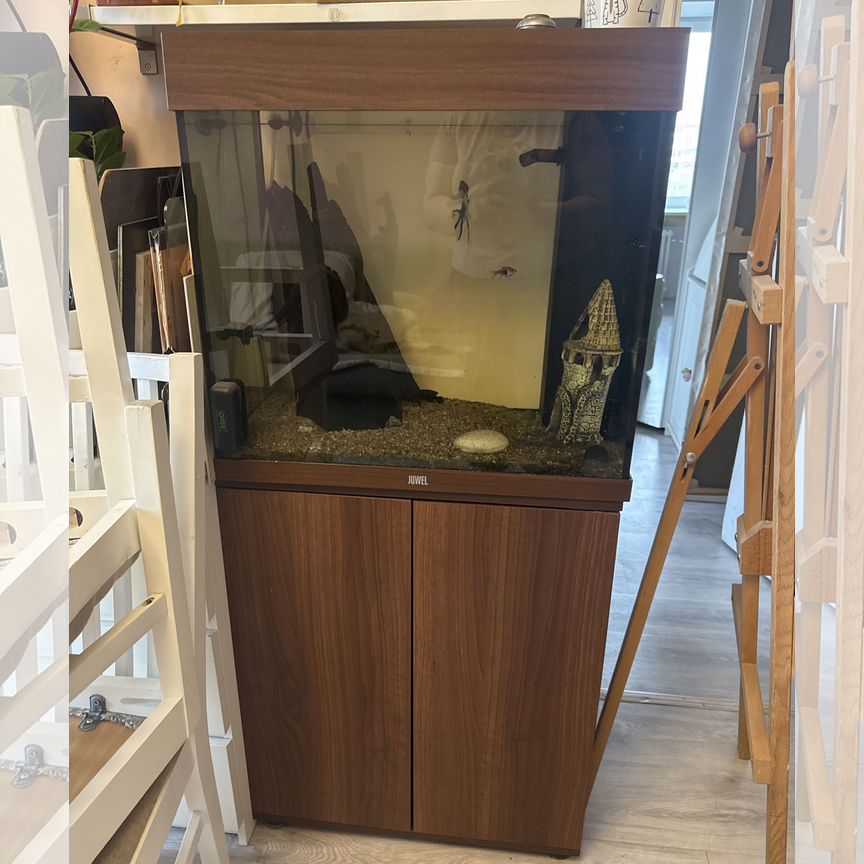 Аквариум juwel 100