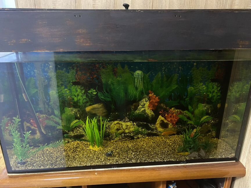 Аквариум с тумбой и рыбками