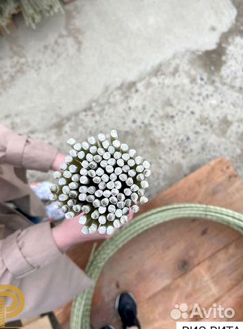 Стеклопластиковые колышки для растений 14 мм купить в Таганроге ...