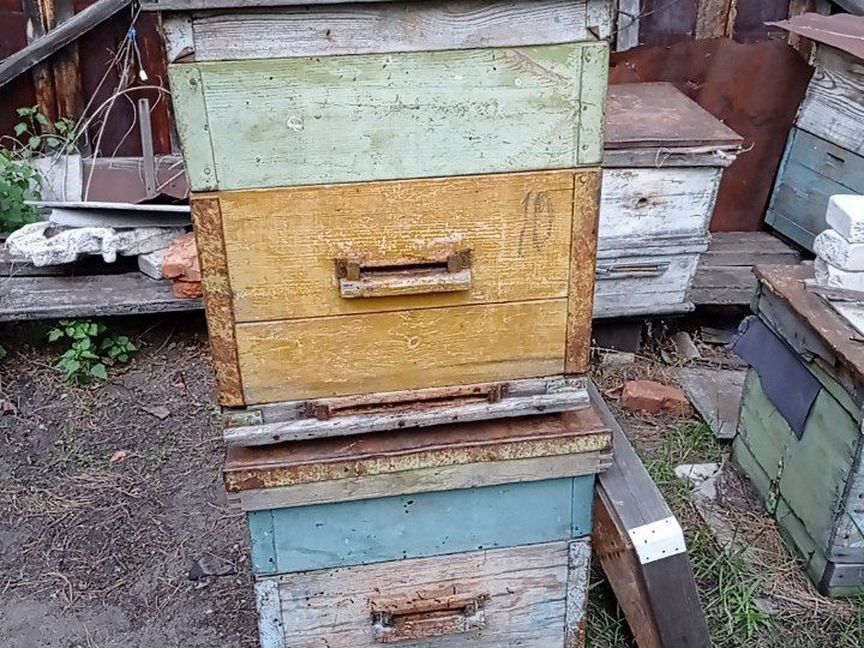 Улей для пчел дадан с магазином