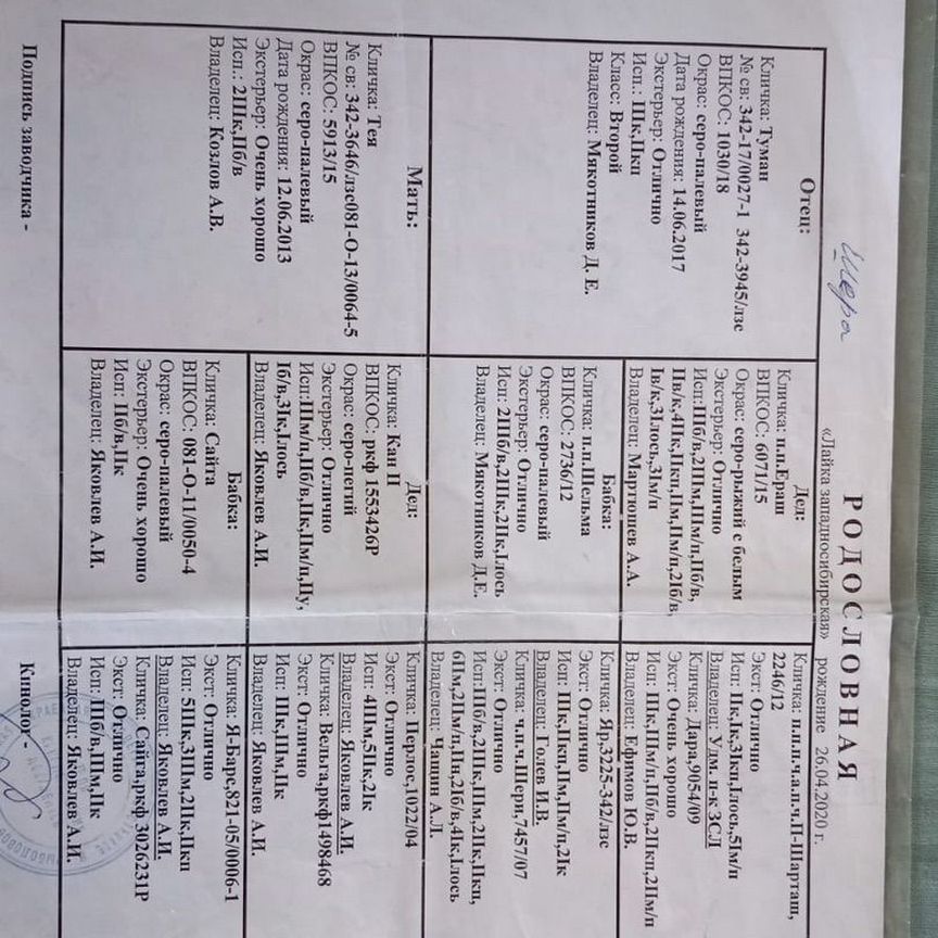 Продается сука зсл