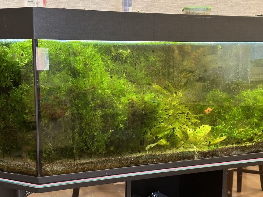 Аквариум с тумбой 220 литров