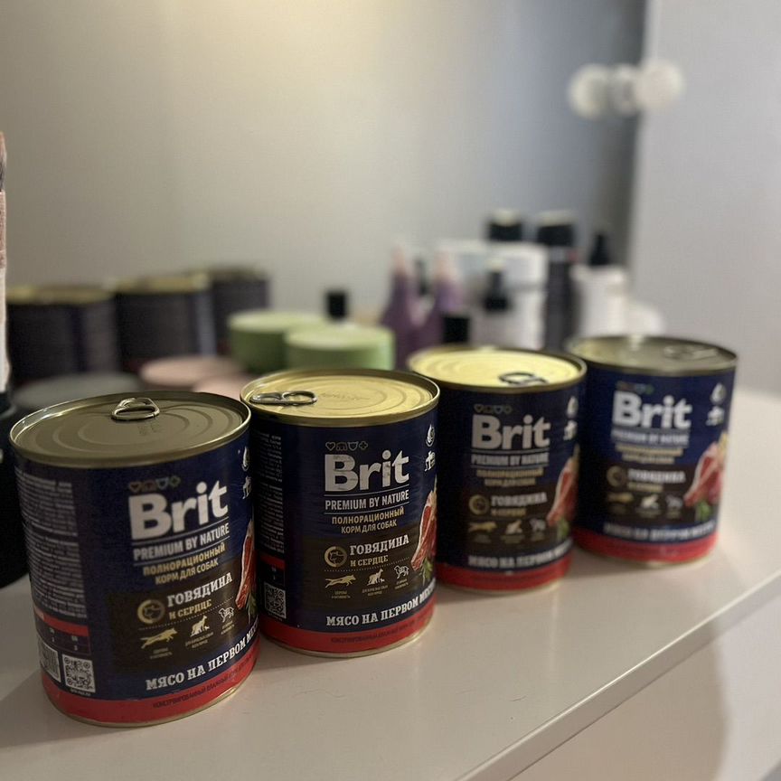 Консервы Brit для собак