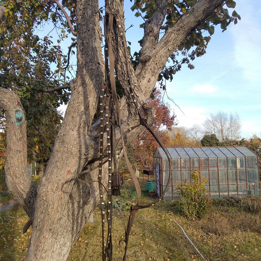 Упряжь для лошади