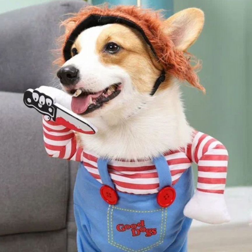 Одежда для маленьких собак